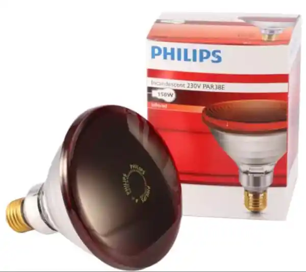 Philips 150W Infrared Bulb - StockMedical
